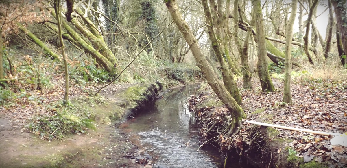 Woodgate Valley – a History – ANDY_UNDERSCORE